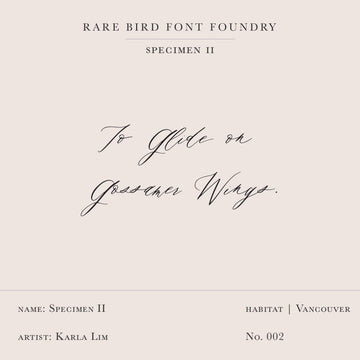 Fonts – Written Word Calligraphy and Design