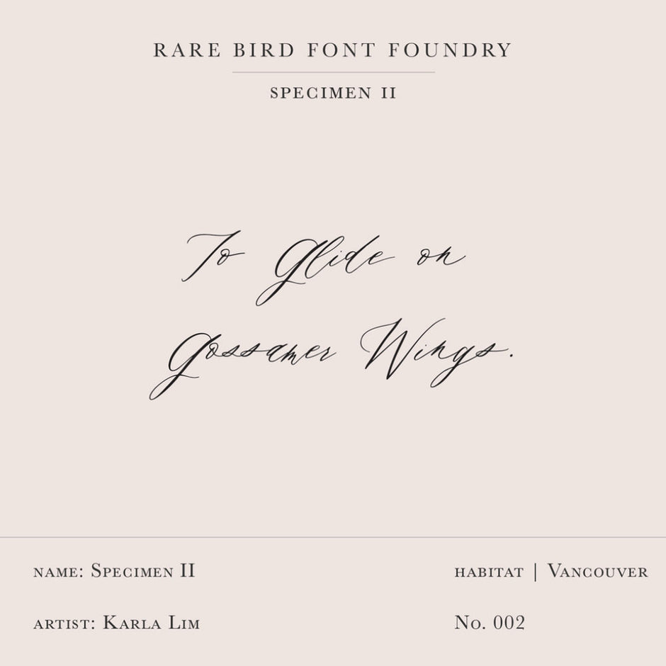 Fonts – Written Word Calligraphy and Design